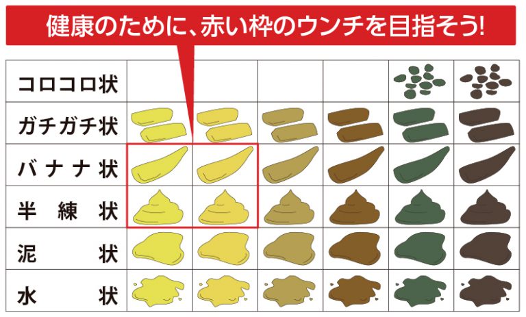 浣腸の働きって何？
