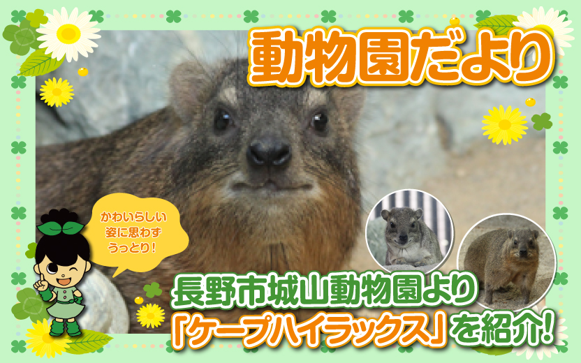 2023年11月に配信された第30回エコチルライブから、各コーナーをピックアップしてお届け！