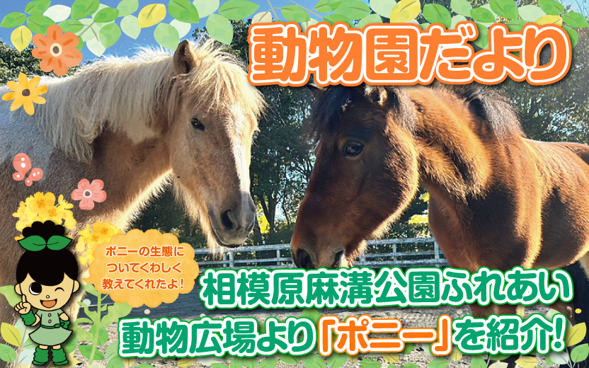 2023年12月に配信された第31回エコチルライブから、各コーナーをピックアップしてお届け！